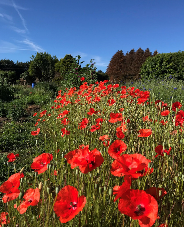 Atiké - Nouveau ! - Les Secrets de nos Boîtes